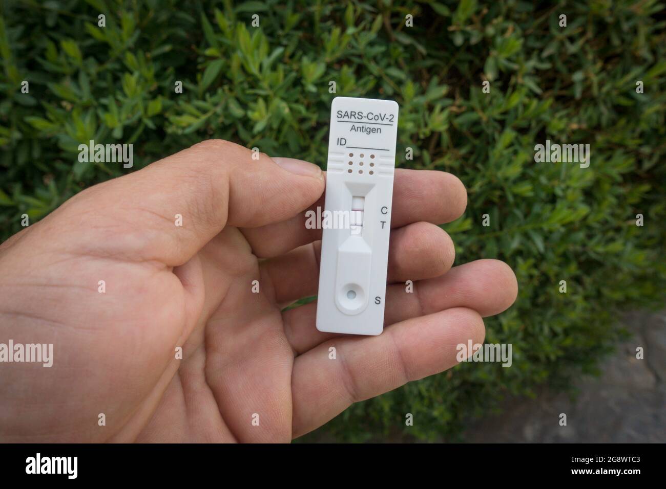 Hand holding test card rapid antigen test, covid-19, coronavirus. with ...