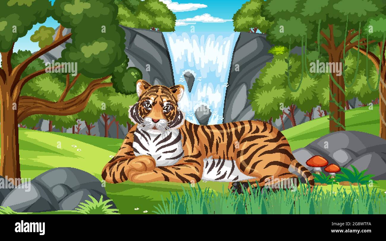 A tiger in forest or rainforest scene with many trees illustration ...