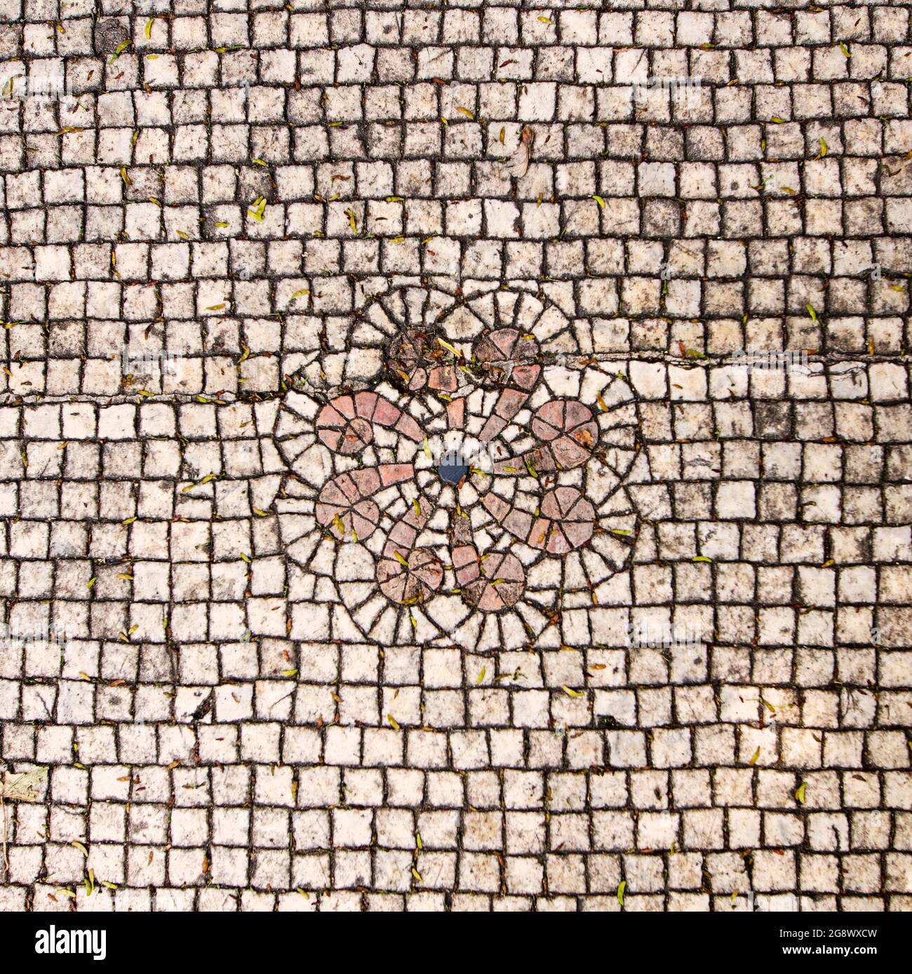 Tiles forming a mosaic-like pattern on front steps of house inSouth ...