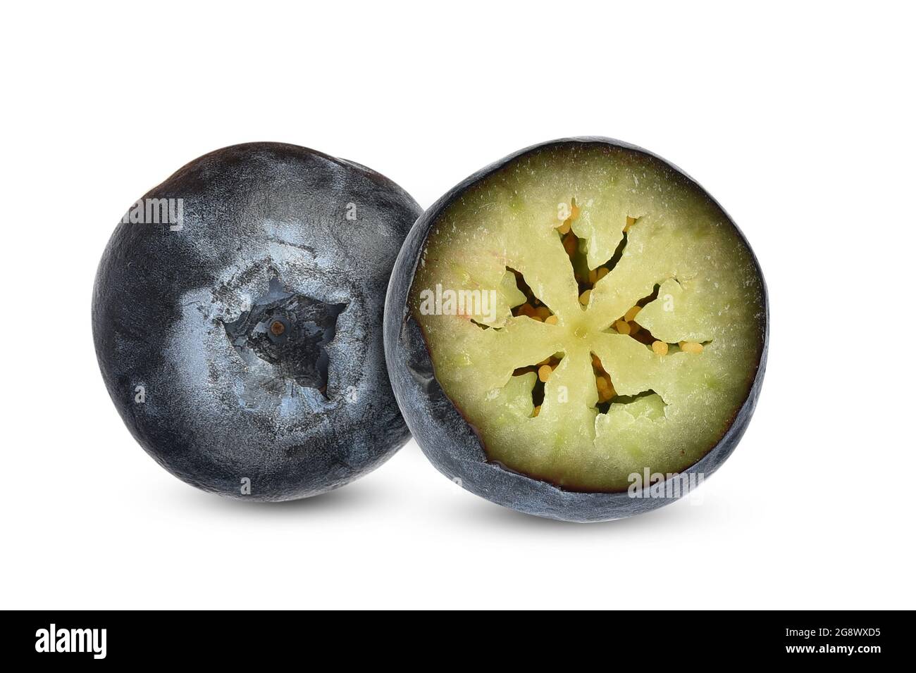 Blueberry and half blueberry isolated on white background Stock Photo ...