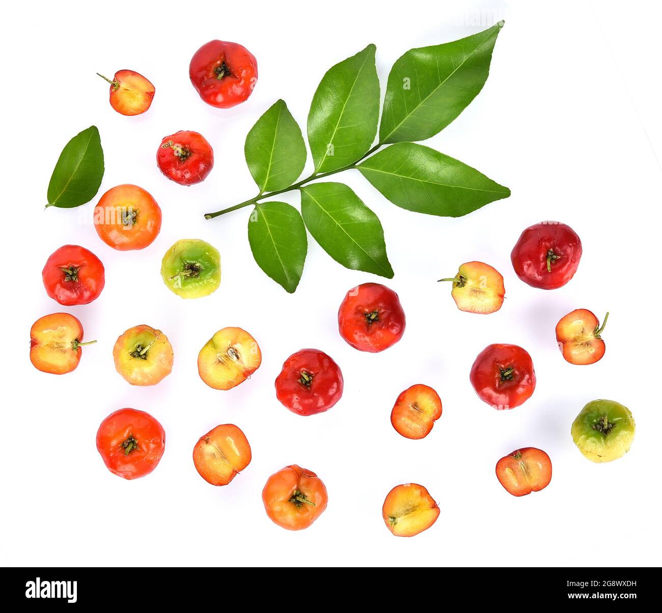 Top view of Cherry and green leaf isolated on white background Stock ...