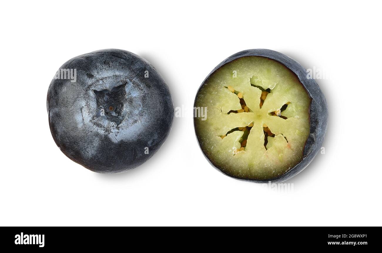 Top view of Blueberry and half blueberry isolated on white background ...