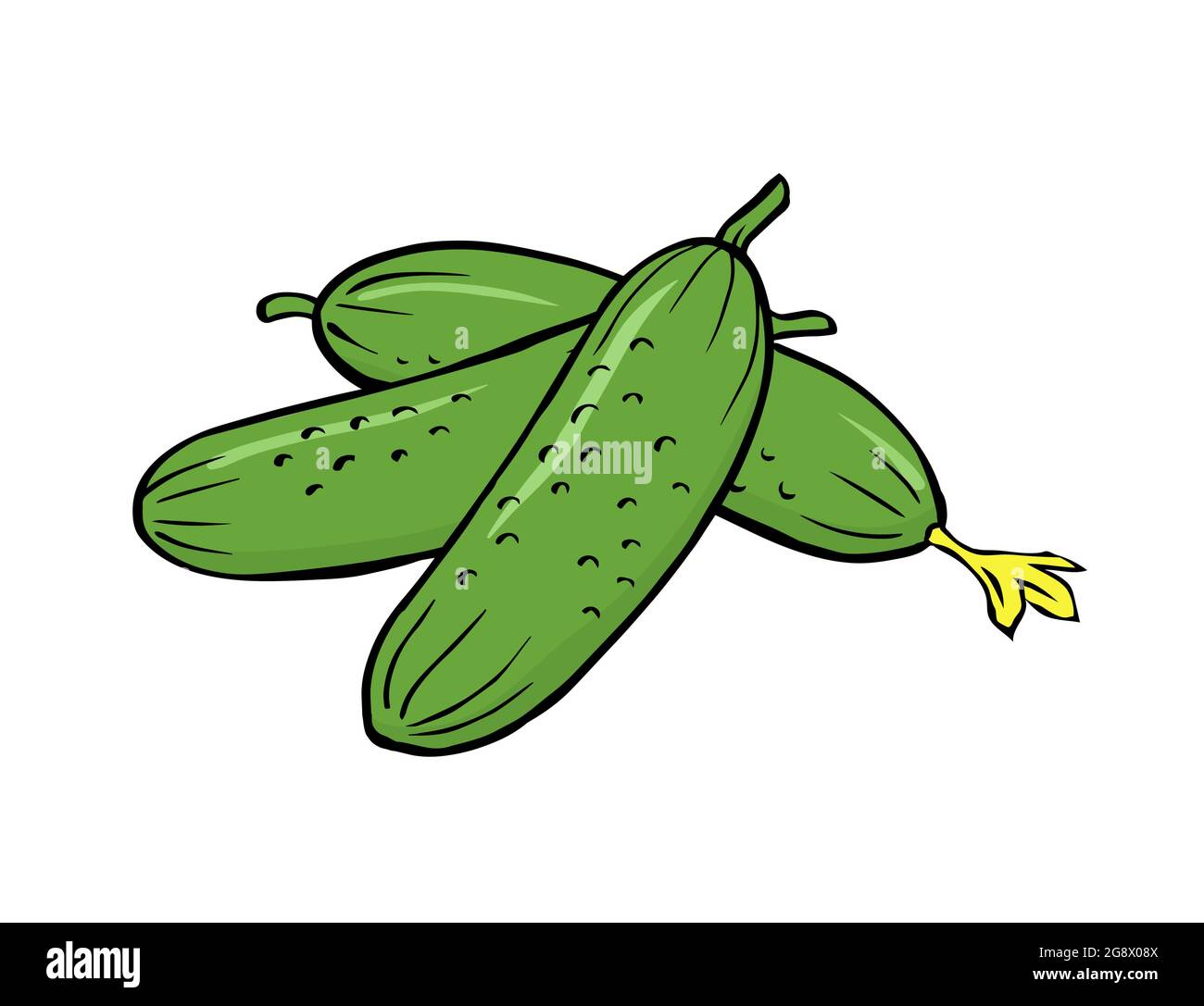 Cucumber Drawing