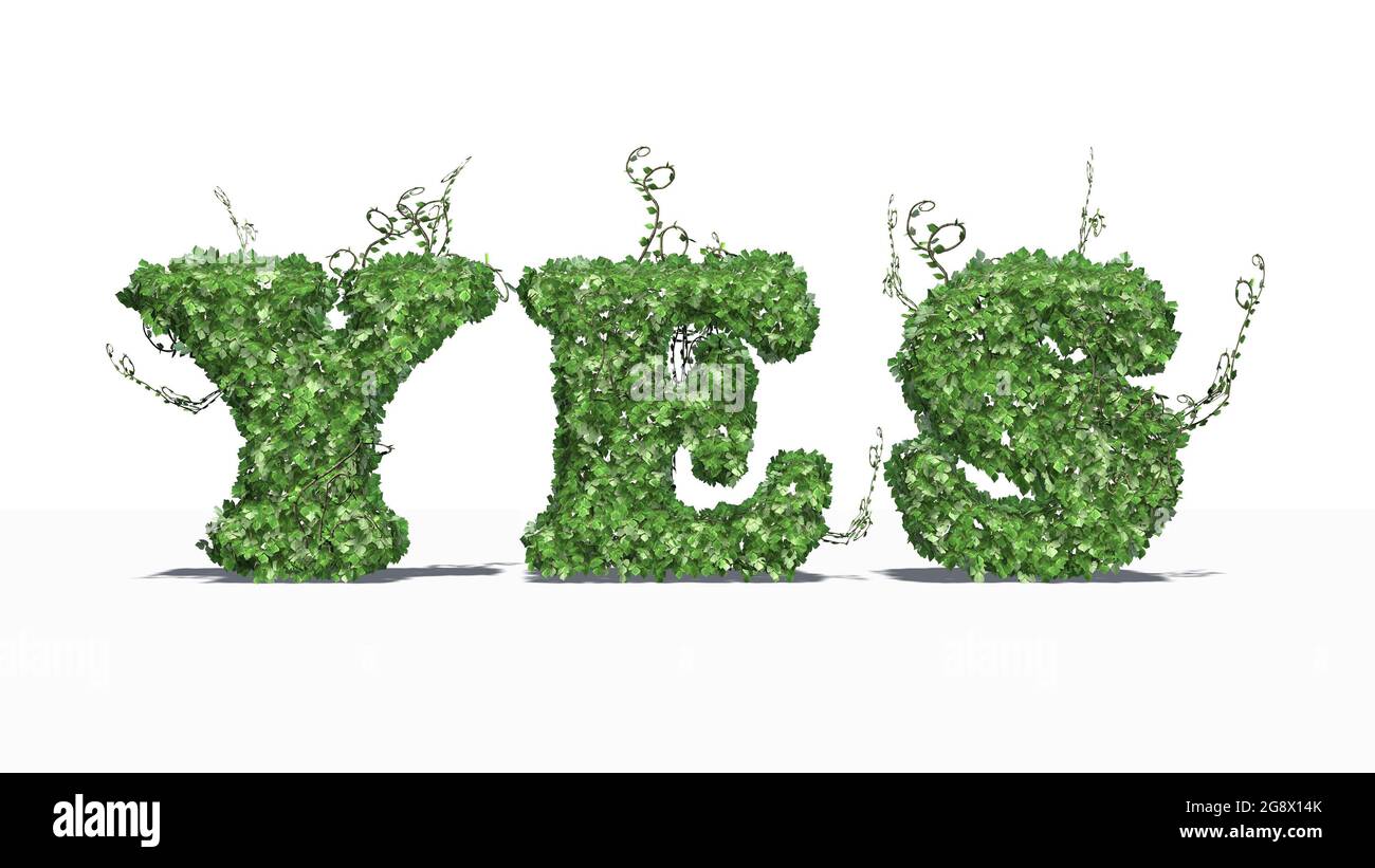 YES - text created of green ivy leaves with shadow on the floor ...