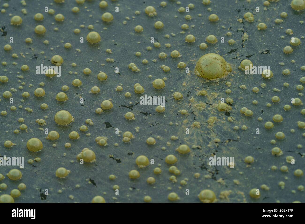 Very dirty water with bubbles closeup view Stock Photo - Alamy