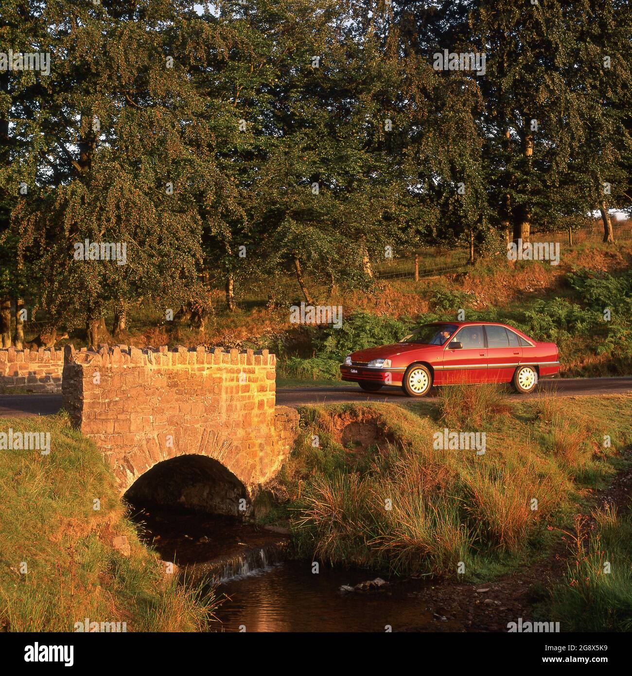 1992 Vauxhall Carlton L 1.8i Stock Photo - Alamy