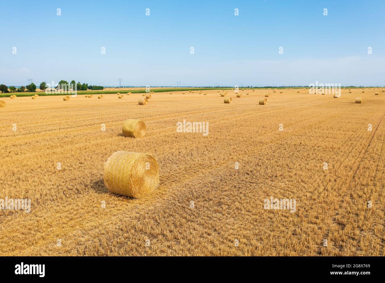 Hay bales on agricultural hi-res stock photography and images - Alamy