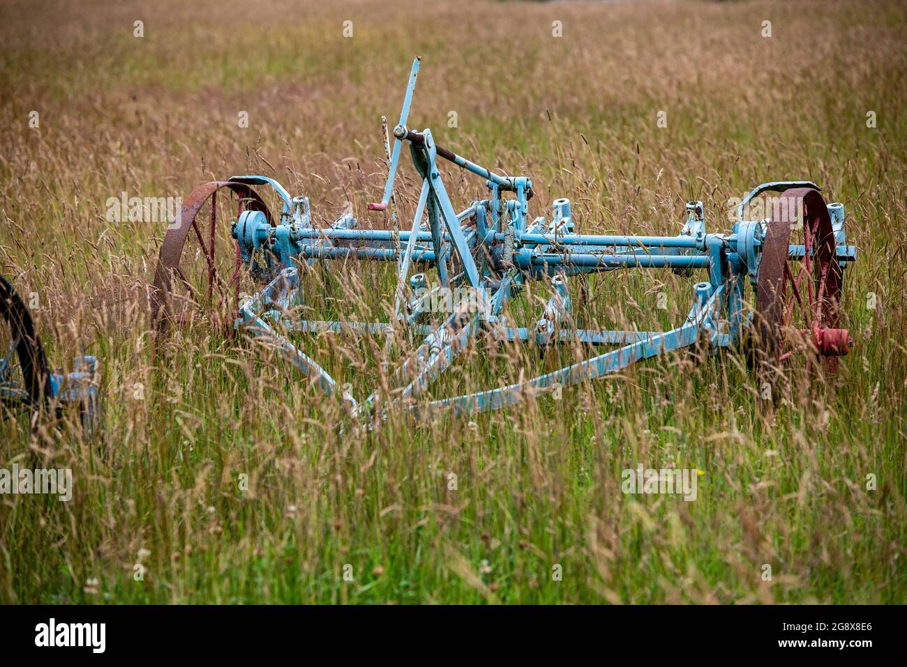 Old fashioned and abandoned farm machinery overgrown by long grass ...