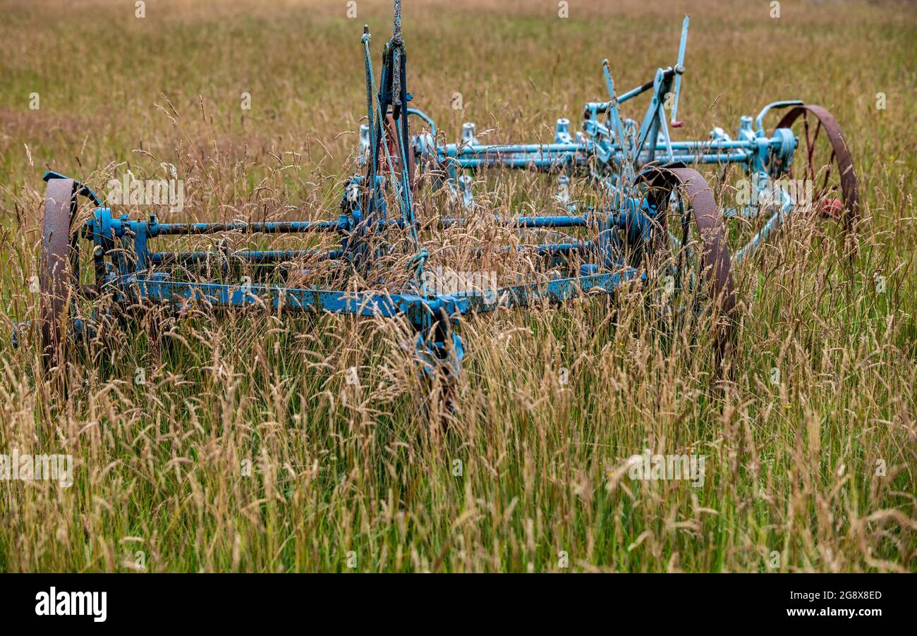 Old fashioned and abandoned farm machinery overgrown by long grass ...