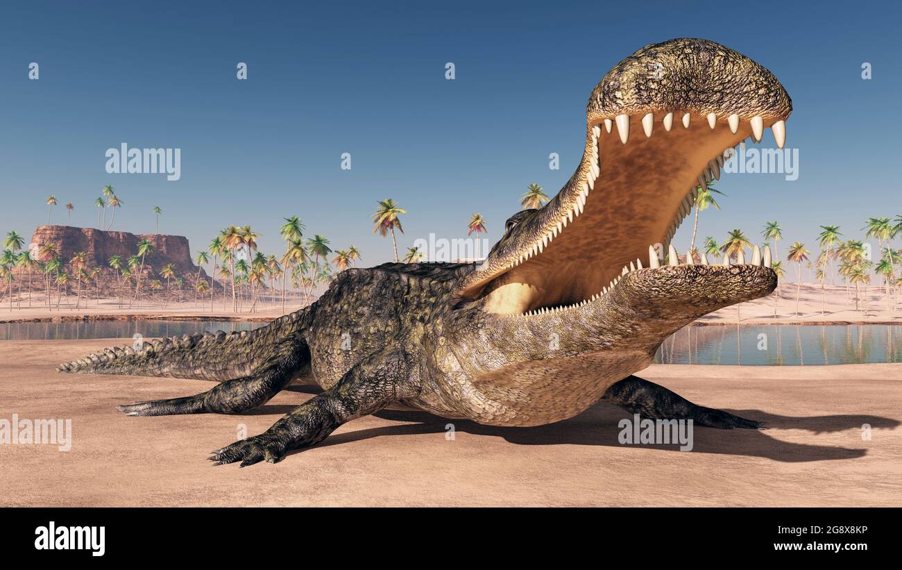 Megalodon Vs Supercroc