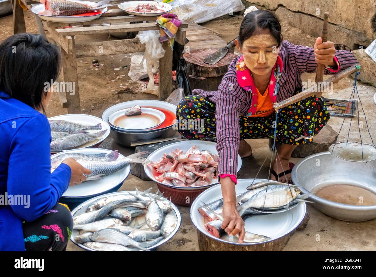 Fresh fish market in Yangon, Myanmar Stock Photo - Alamy