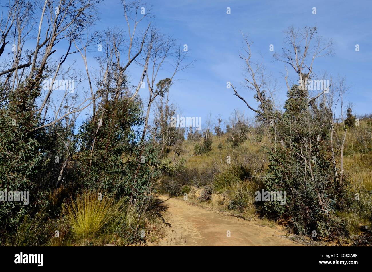 Mount Banks Summit Walk Stock Photo - Alamy