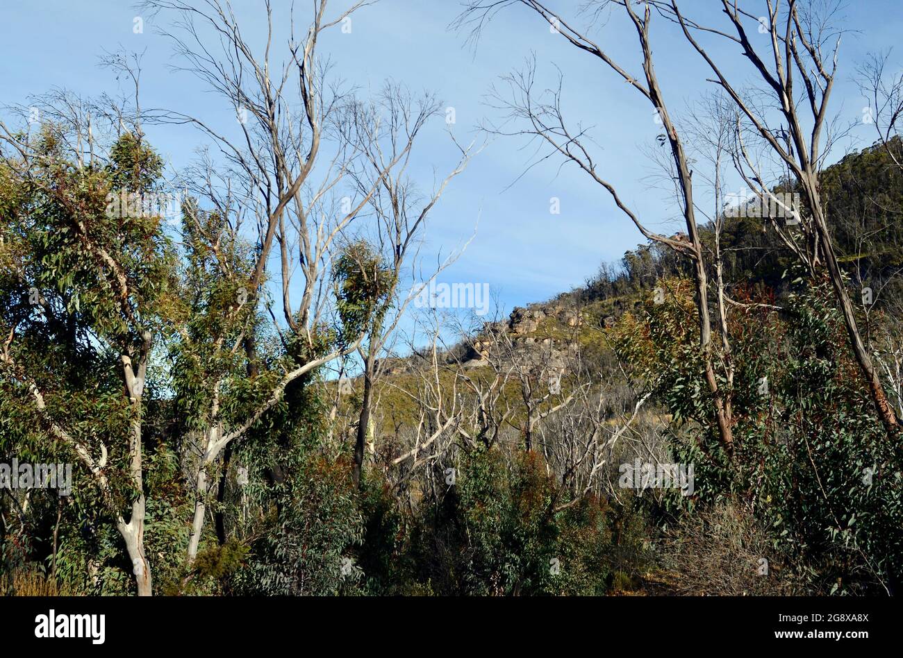 Mount Banks Summit Walk Stock Photo - Alamy