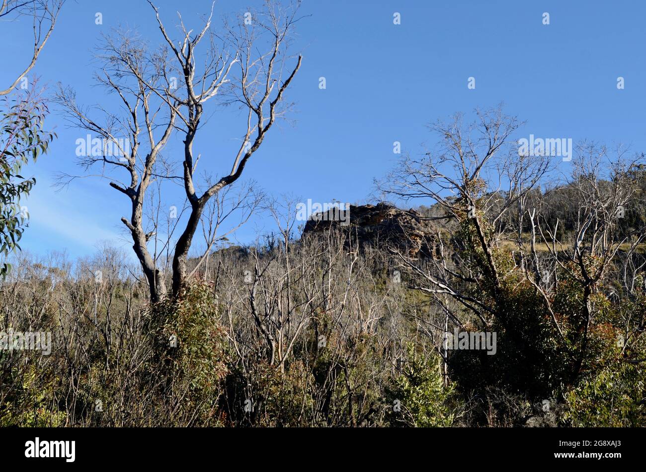 Mount Banks Summit Walk Stock Photo - Alamy