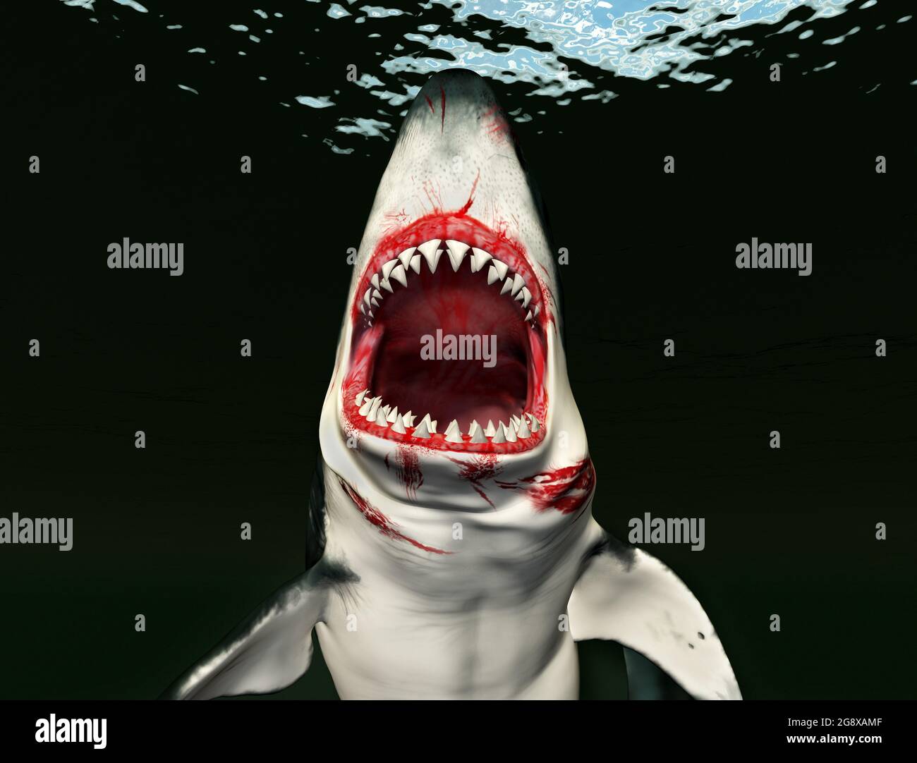 Great white shark swims to the surface of the sea Stock Photo - Alamy