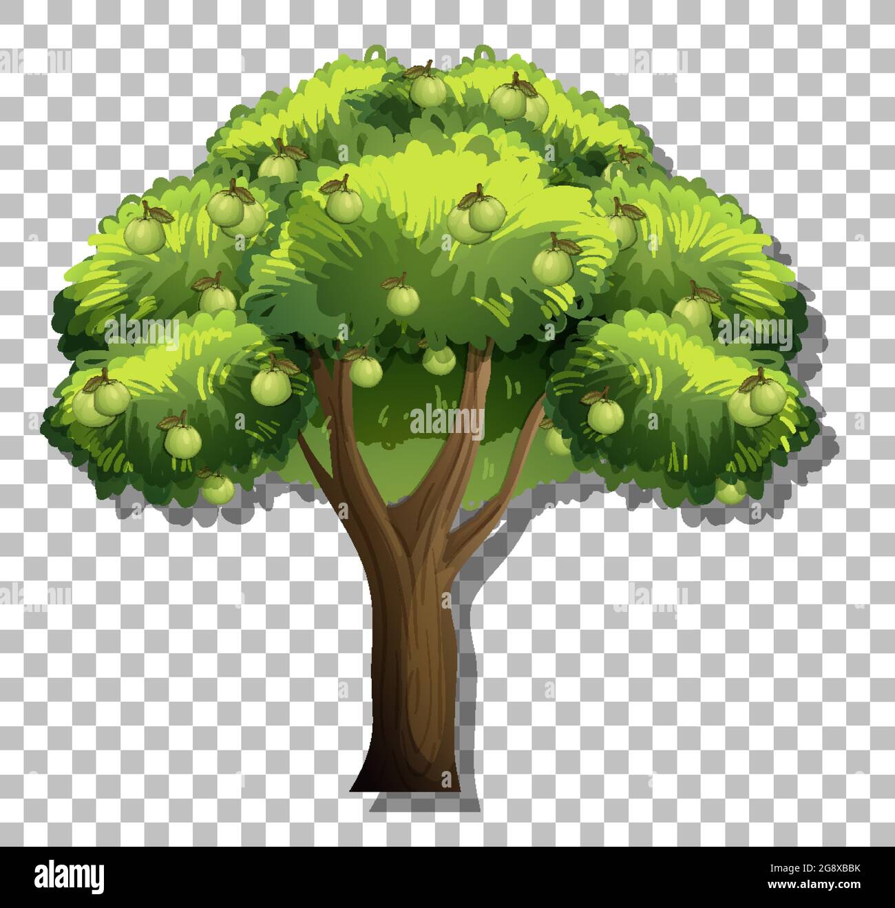 Guava tree on transparent background illustration Stock Vector Image ...