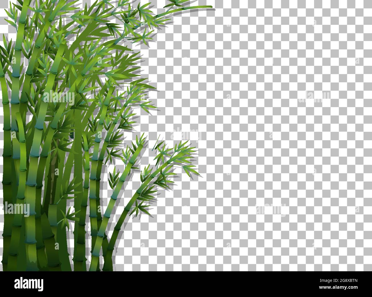 Bamboo tree on transparent background illustration Stock Vector Image ...