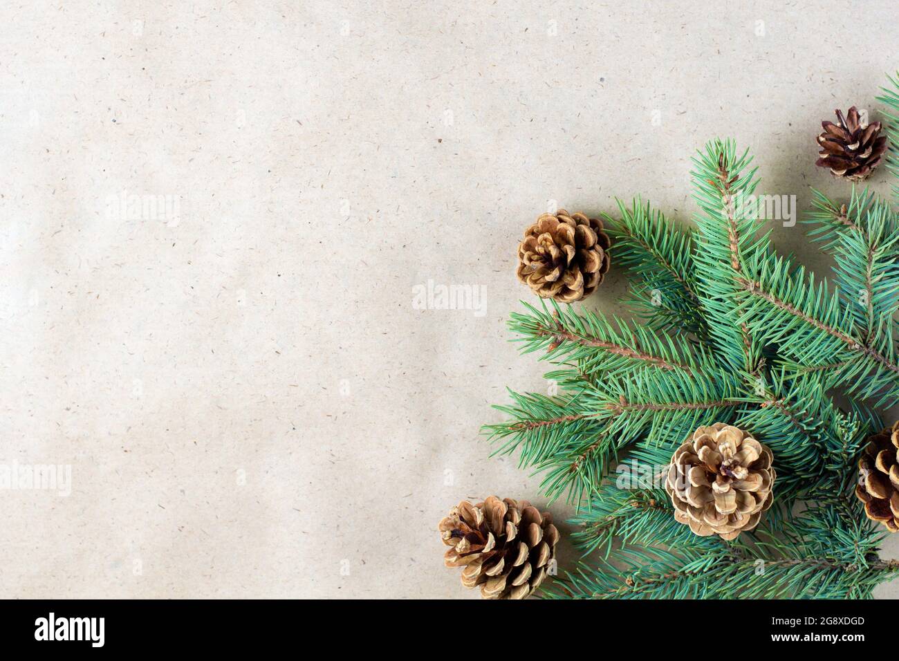 Corner of fir tree branch with cones on craft paper for christmas card ...