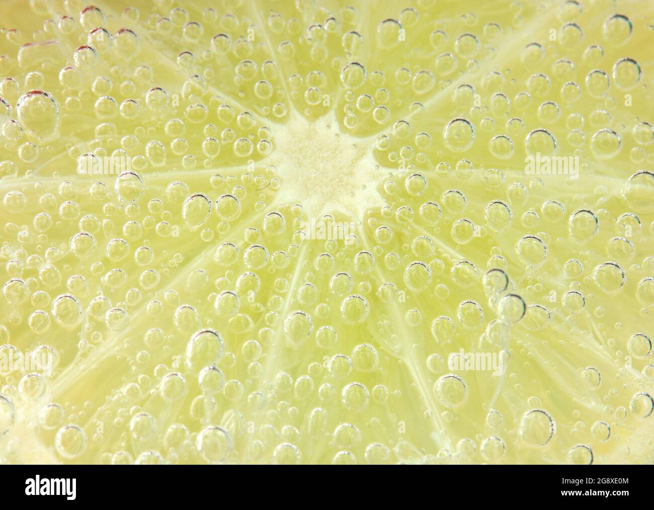 slice of lemon in the water with bubbles Stock Photo - Alamy
