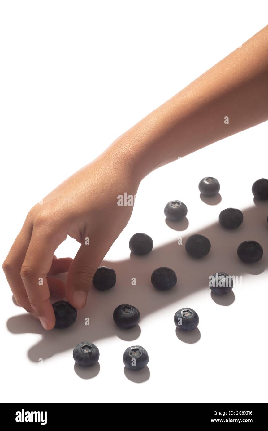 Child's hands lay out blueberries in rows isolate on white background ...