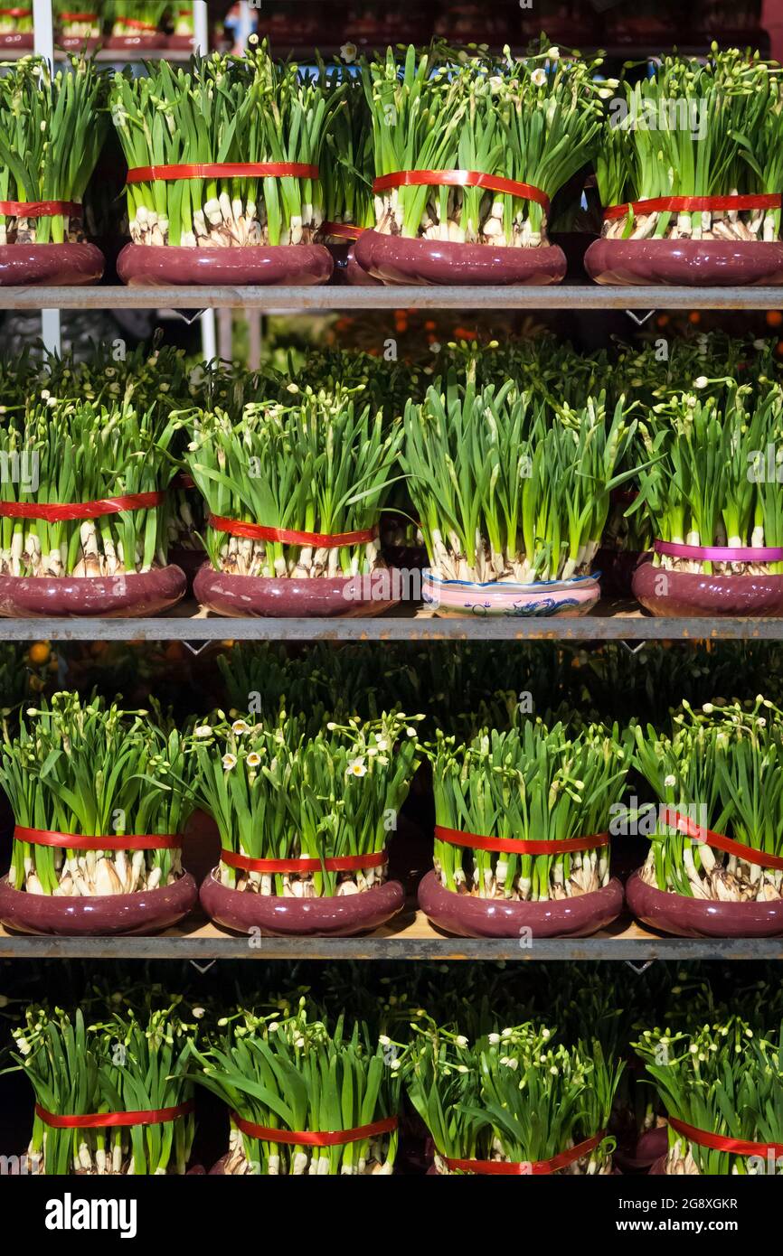 Stall chinese celebrate hi-res stock photography and images - Alamy