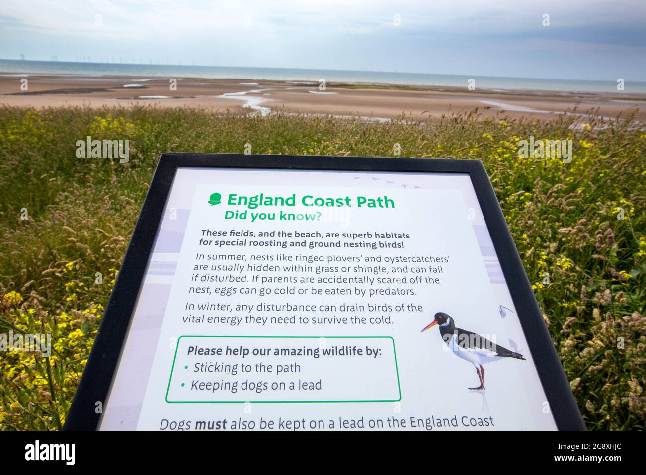 Ground nesting bird sign hi-res stock photography and images - Alamy