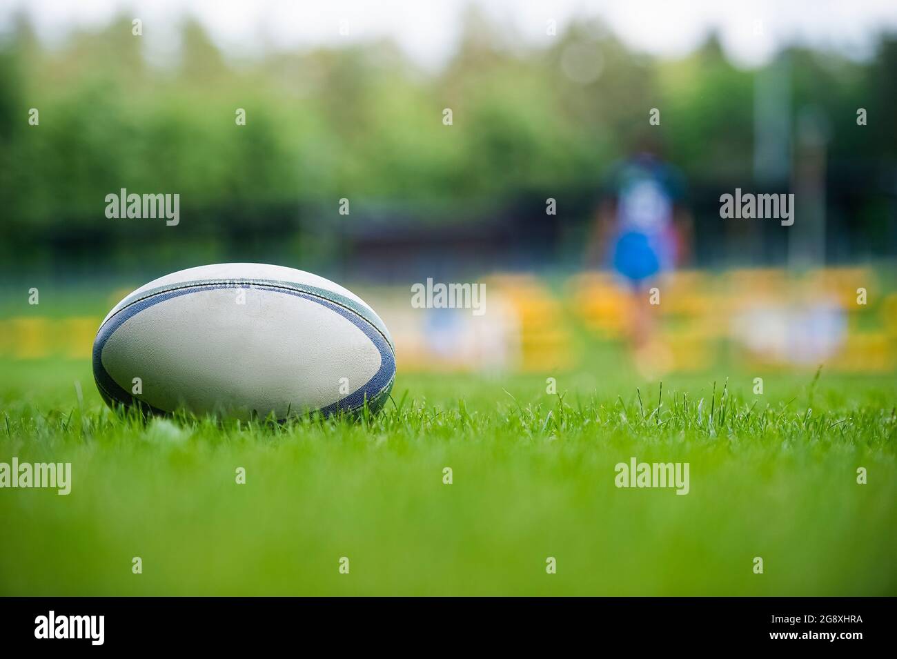 Rugby ball on grass in the stadium. Professional sport concept Stock ...