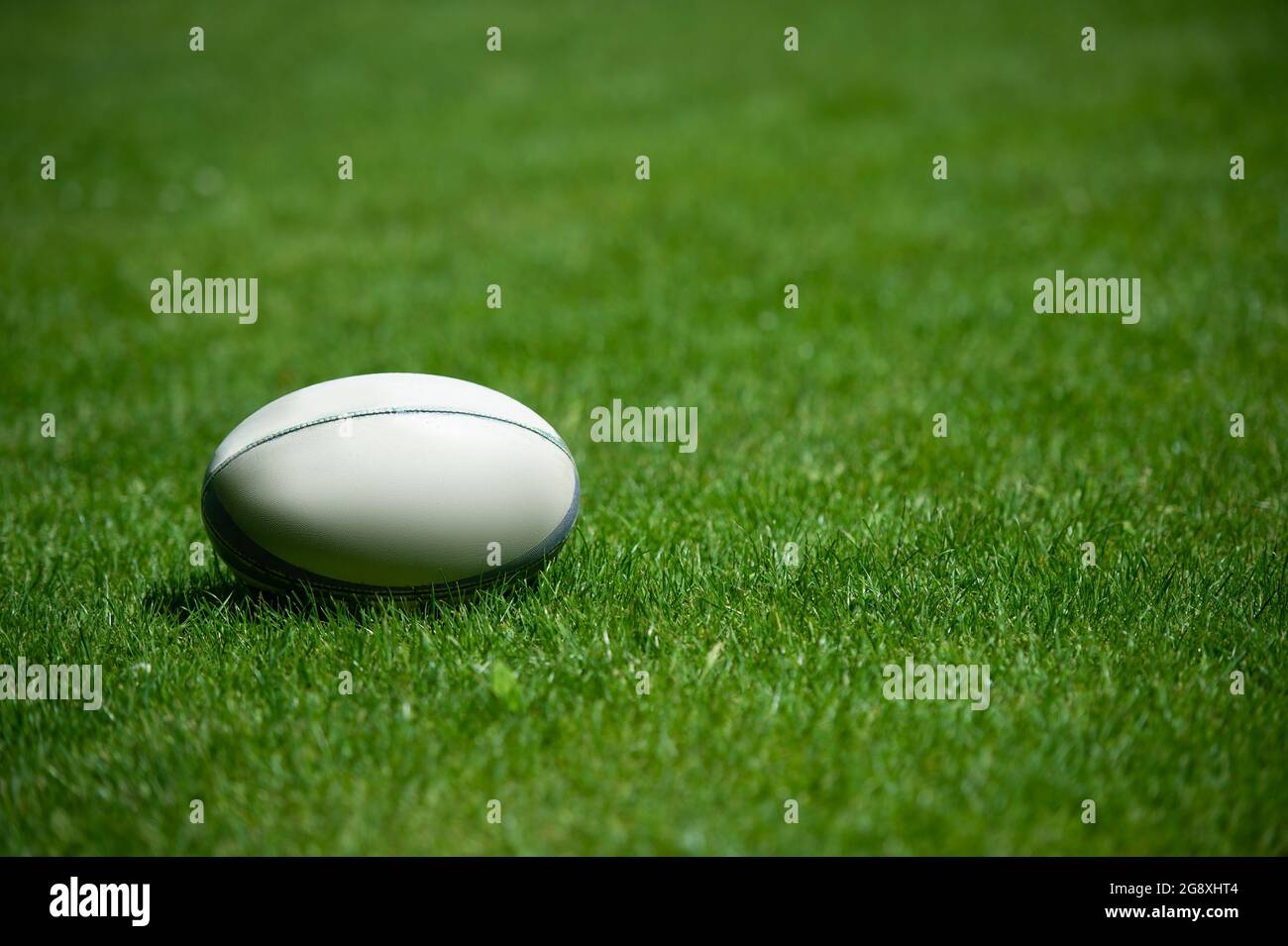 Rugby ball on grass in the stadium. Professional sport concept Stock ...