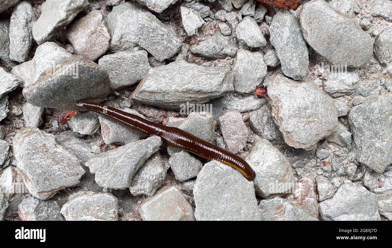 Leech lake river hi-res stock photography and images - Alamy