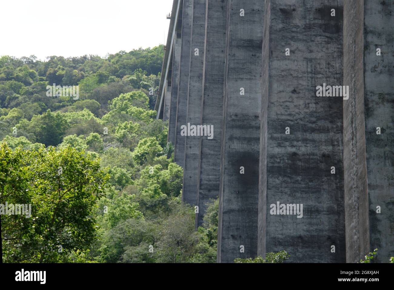 Viaduct bridge surrounded by trees Stock Photo - Alamy