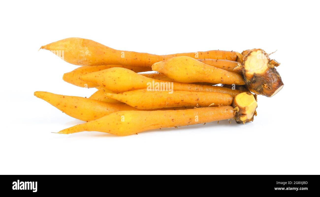 finger root (Krachai) Thai herb isolated on white background Stock ...