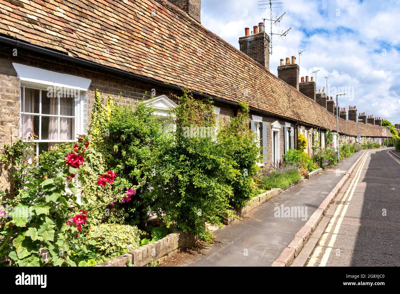 CAMBRIDGE ENGLAND ORCHARD STREET COTTAGES GAULT BRICK BUILDINGS MANSARD ...