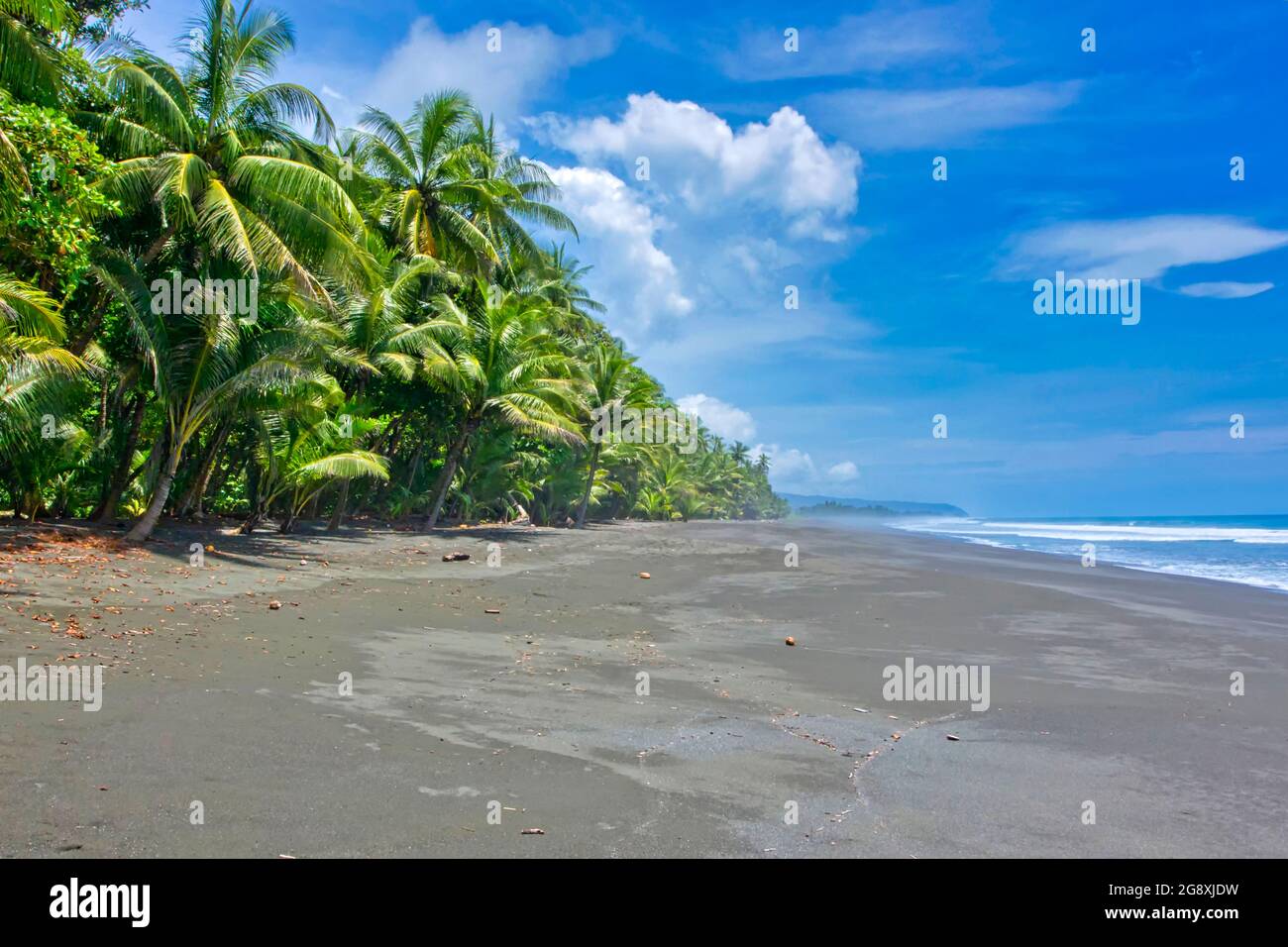 Beach, Corcovado National Park, Osa Conservation Area, Osa Peninsula, Costa Rica, Central ...