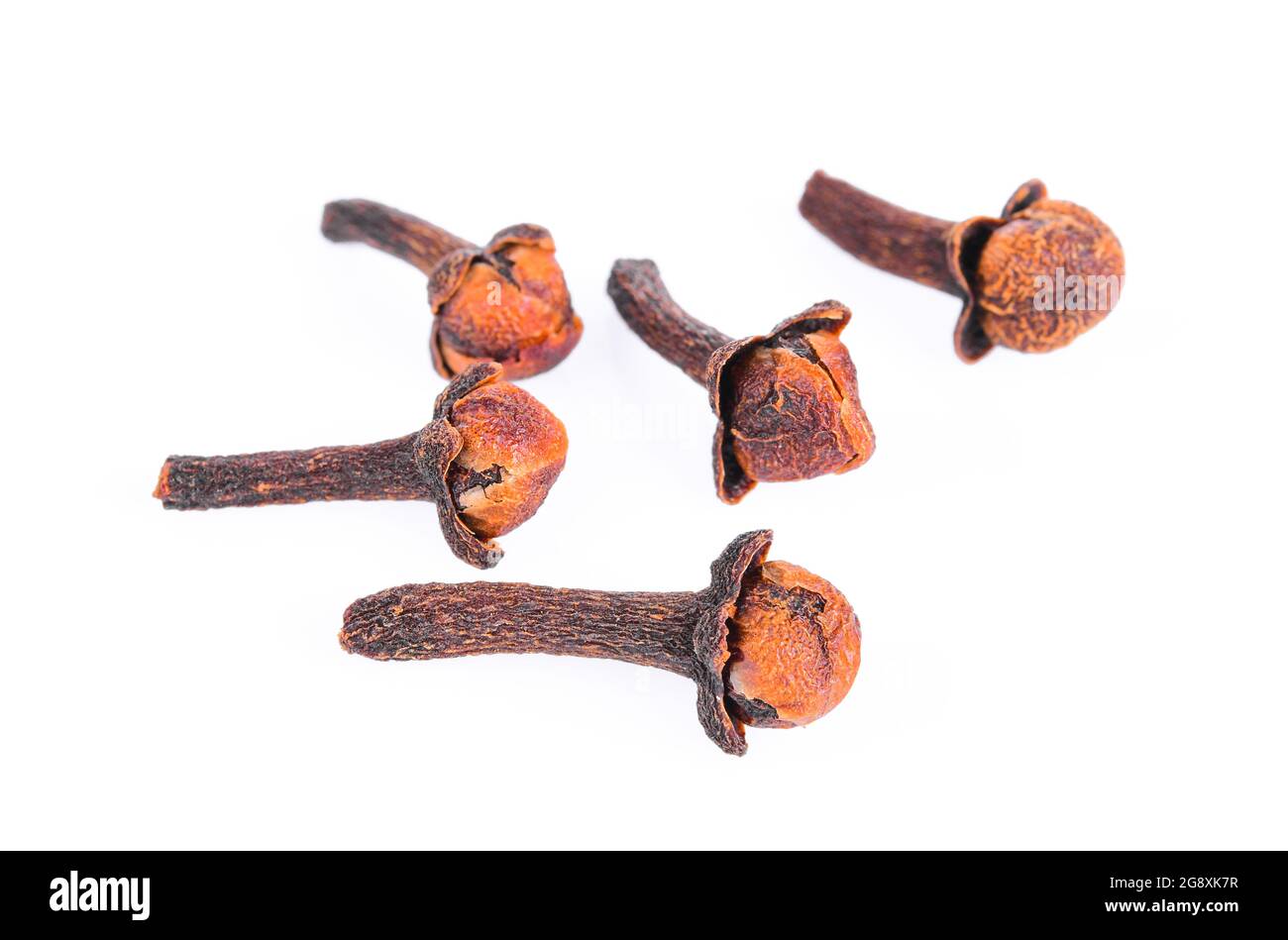 cloves spices on white background Stock Photo - Alamy