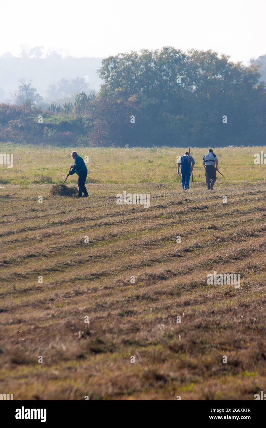 Agricultural workers hi-res stock photography and images - Alamy
