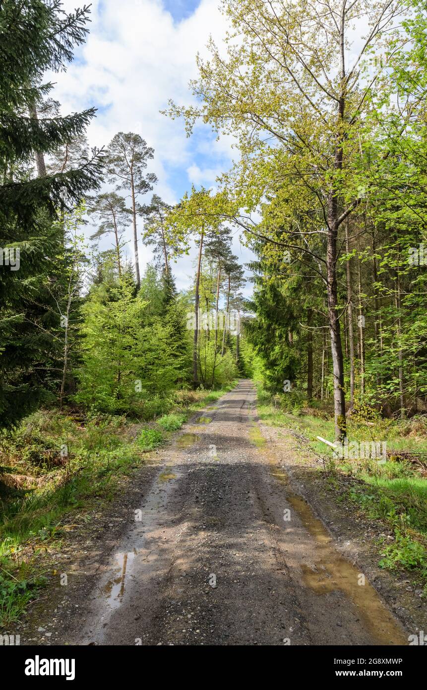 Westerwald germany hi-res stock photography and images - Alamy