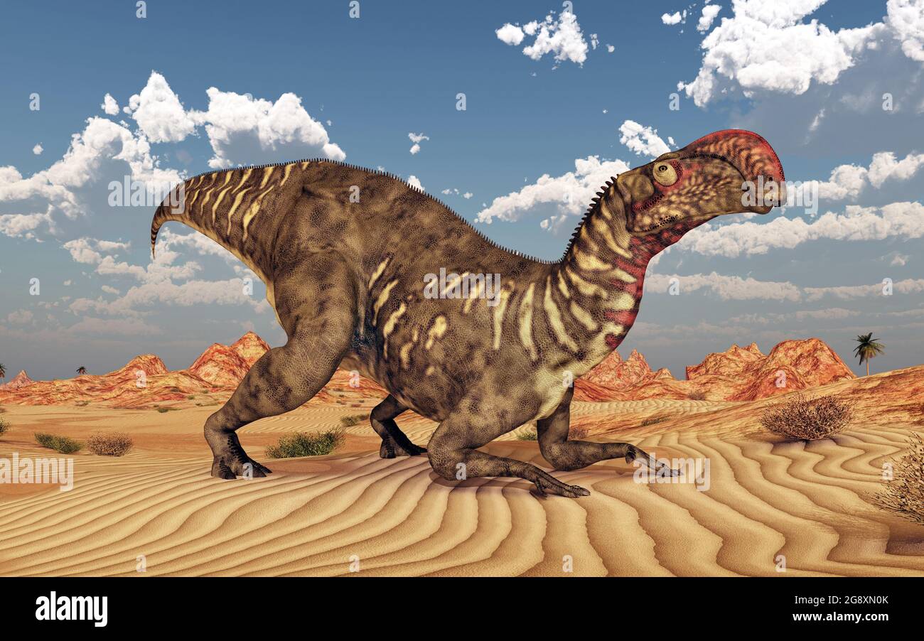 Dinosaur Altirhinus in a landscape Stock Photo - Alamy