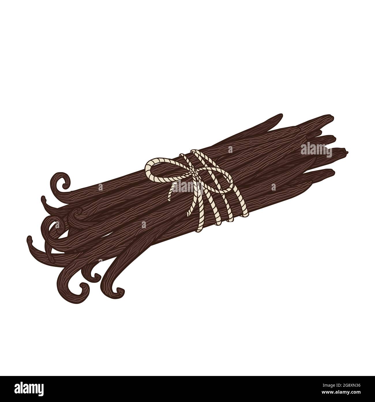 Vanilla flavor sketch hand Cut Out Stock Images & Pictures - Alamy