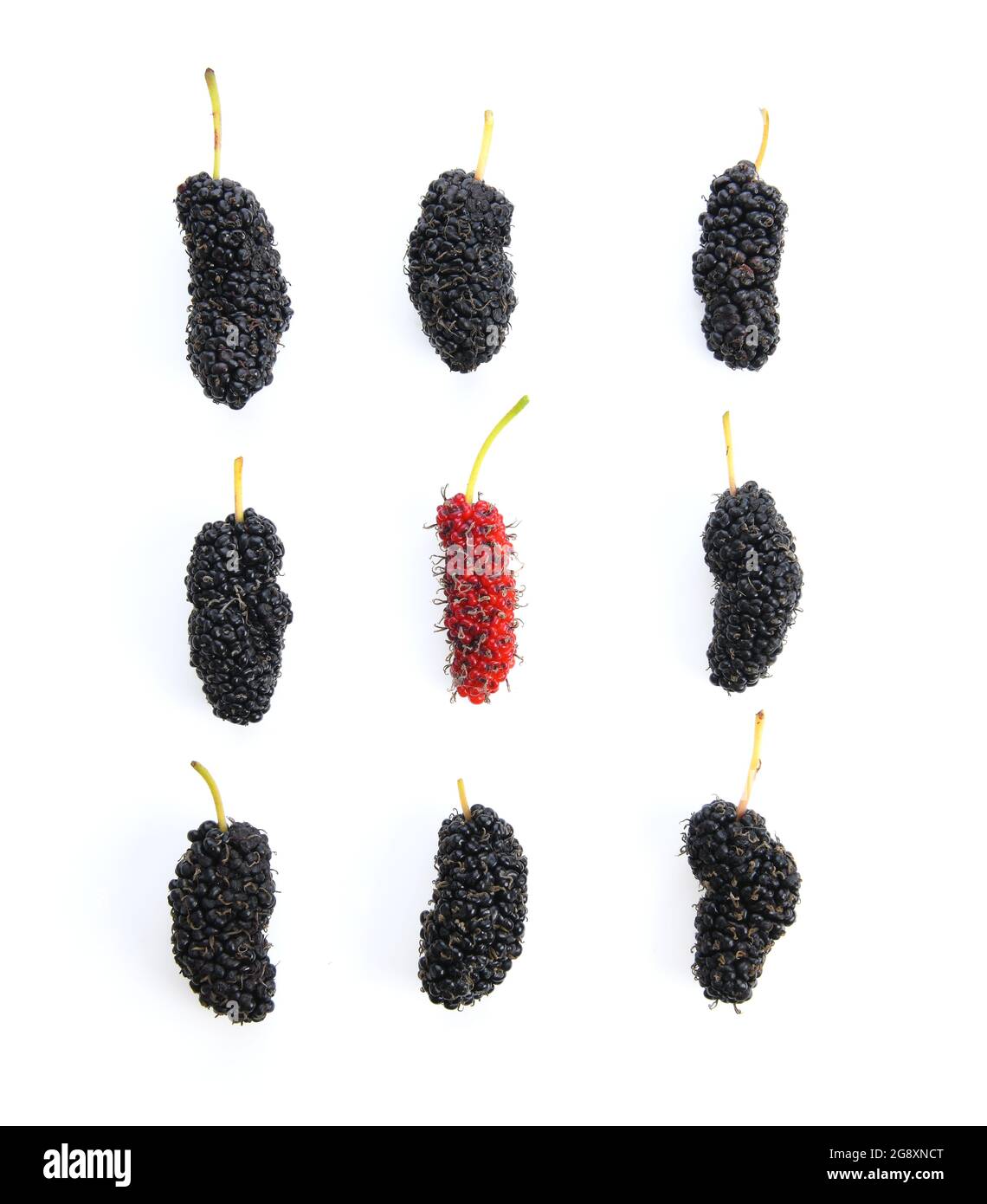 Mulberry berry isolated on white background Stock Photo - Alamy
