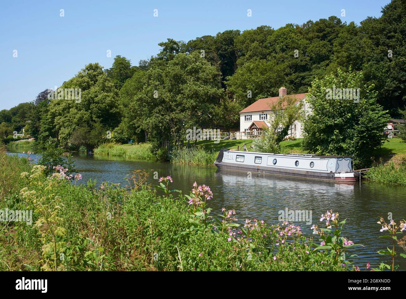 The River Lea in summertime between Hertford and Ware, in the ...