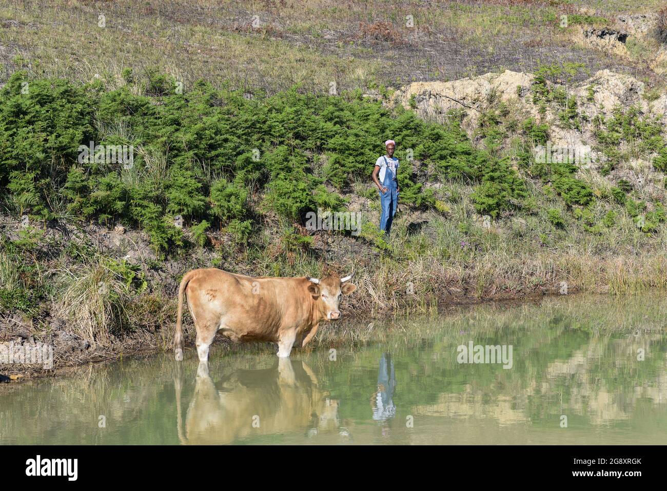 Local outdoor scenery hi-res stock photography and images - Alamy