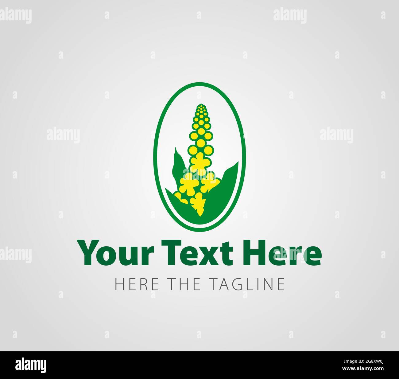 Fresh green plant ready Stock Vector Images - Alamy