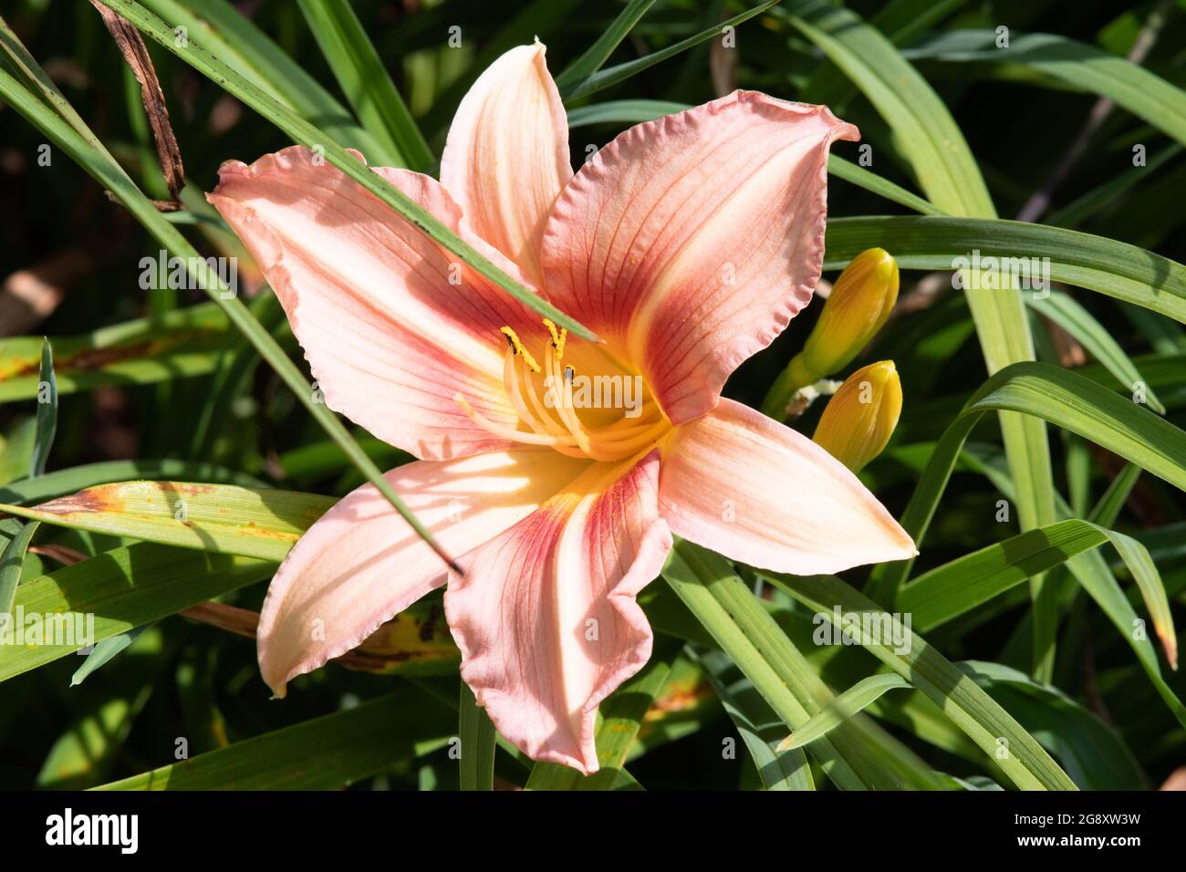 Stoke poges hi-res stock photography and images - Alamy