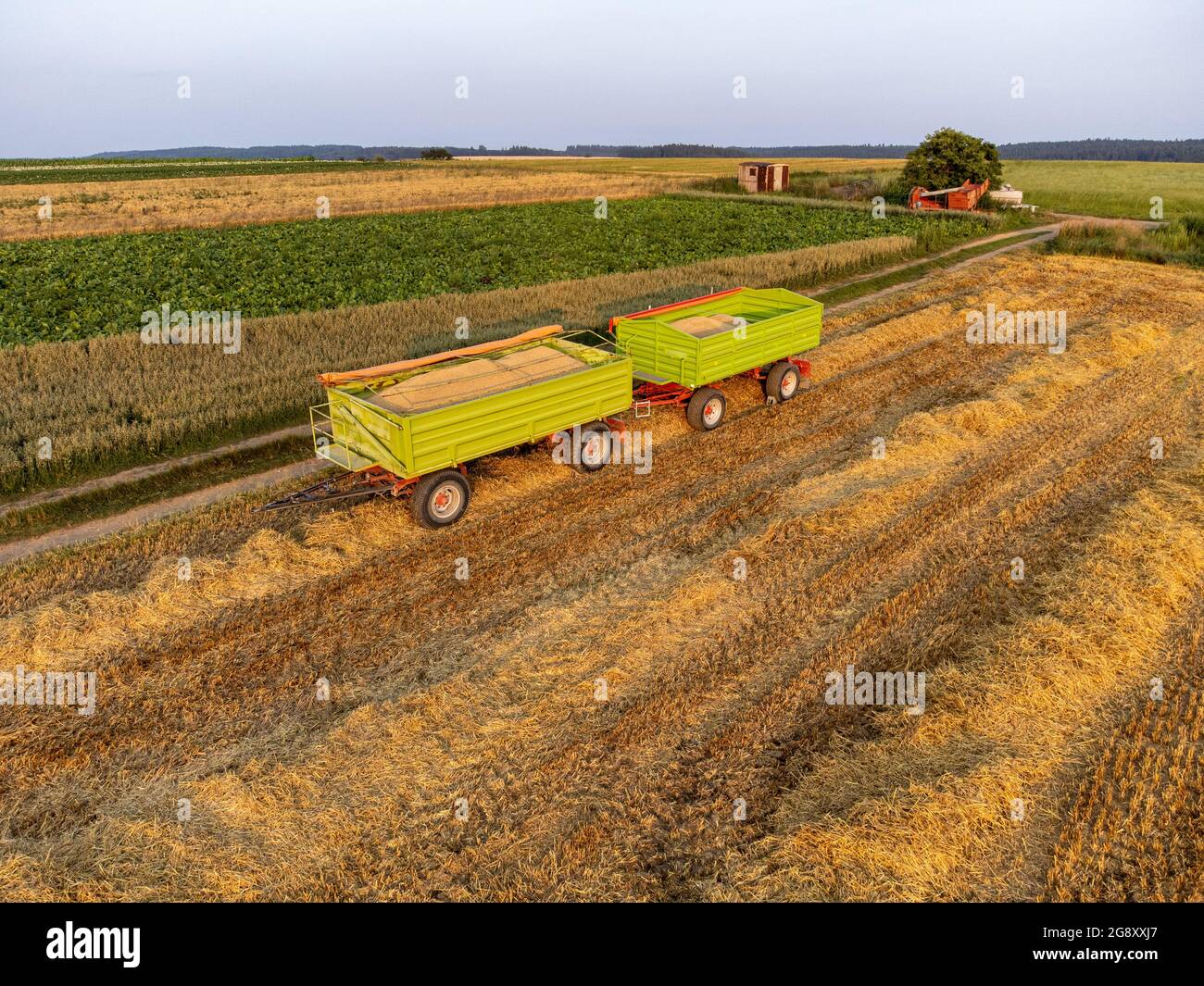 Trailer on a grain field in agriculture Stock Photo - Alamy