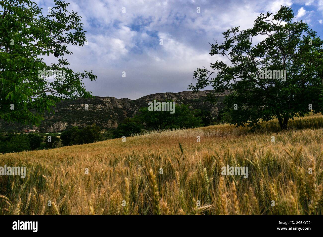 landscape and natural photos Stock Photo - Alamy