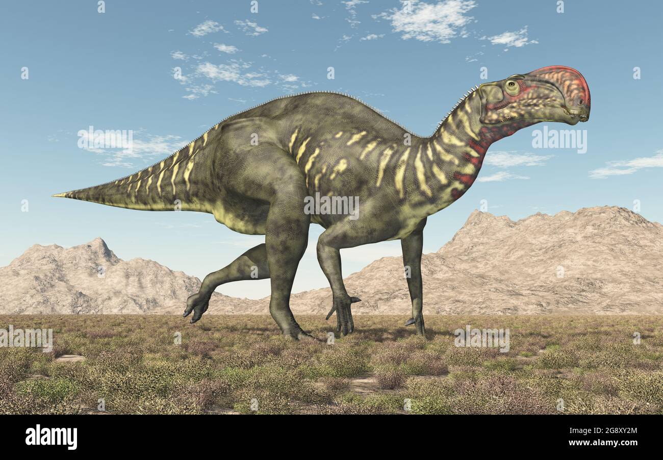 Altirhinus dinosaur hi-res stock photography and images - Alamy