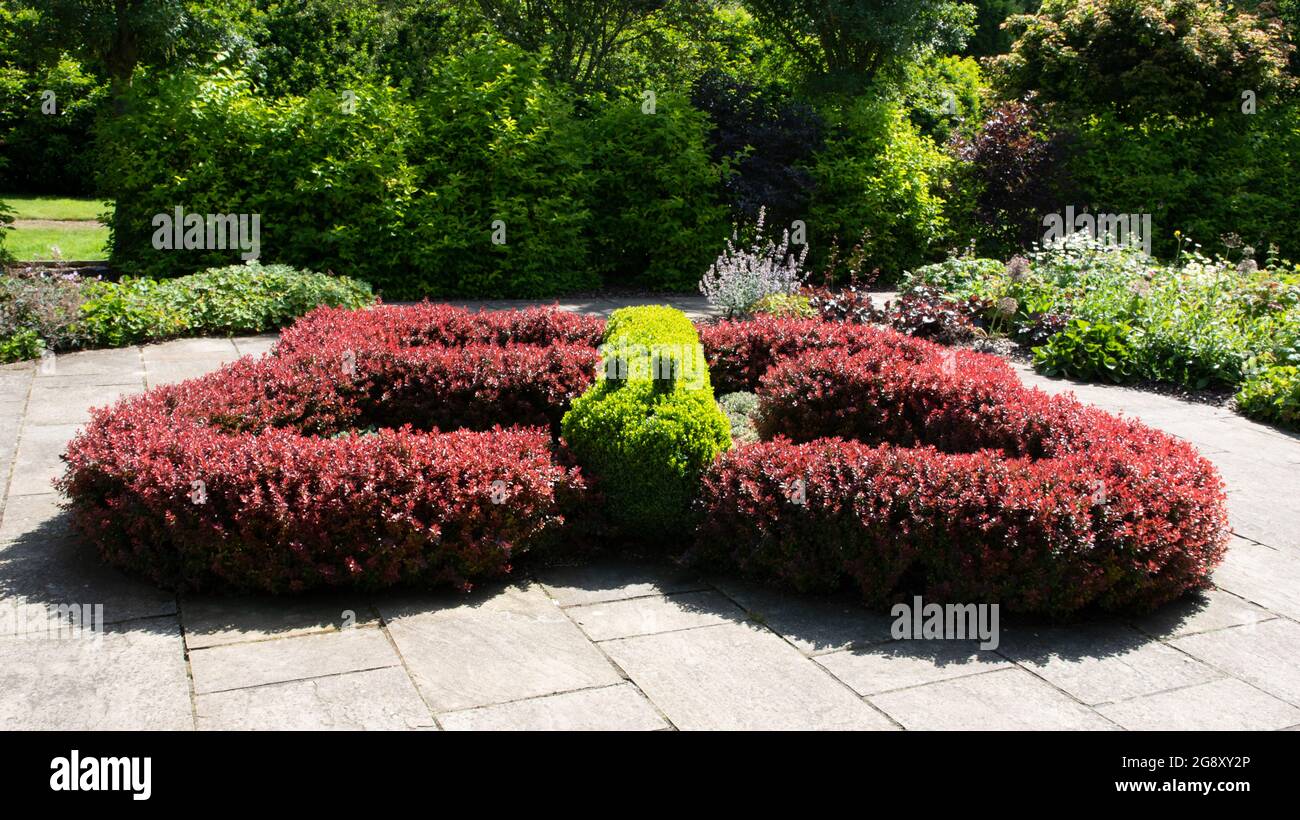 Topiary butterfly in the June Garden at Breezy Knees gardens Stock ...