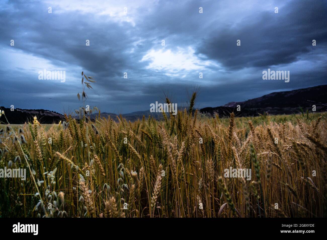 landscape and natural photos Stock Photo - Alamy