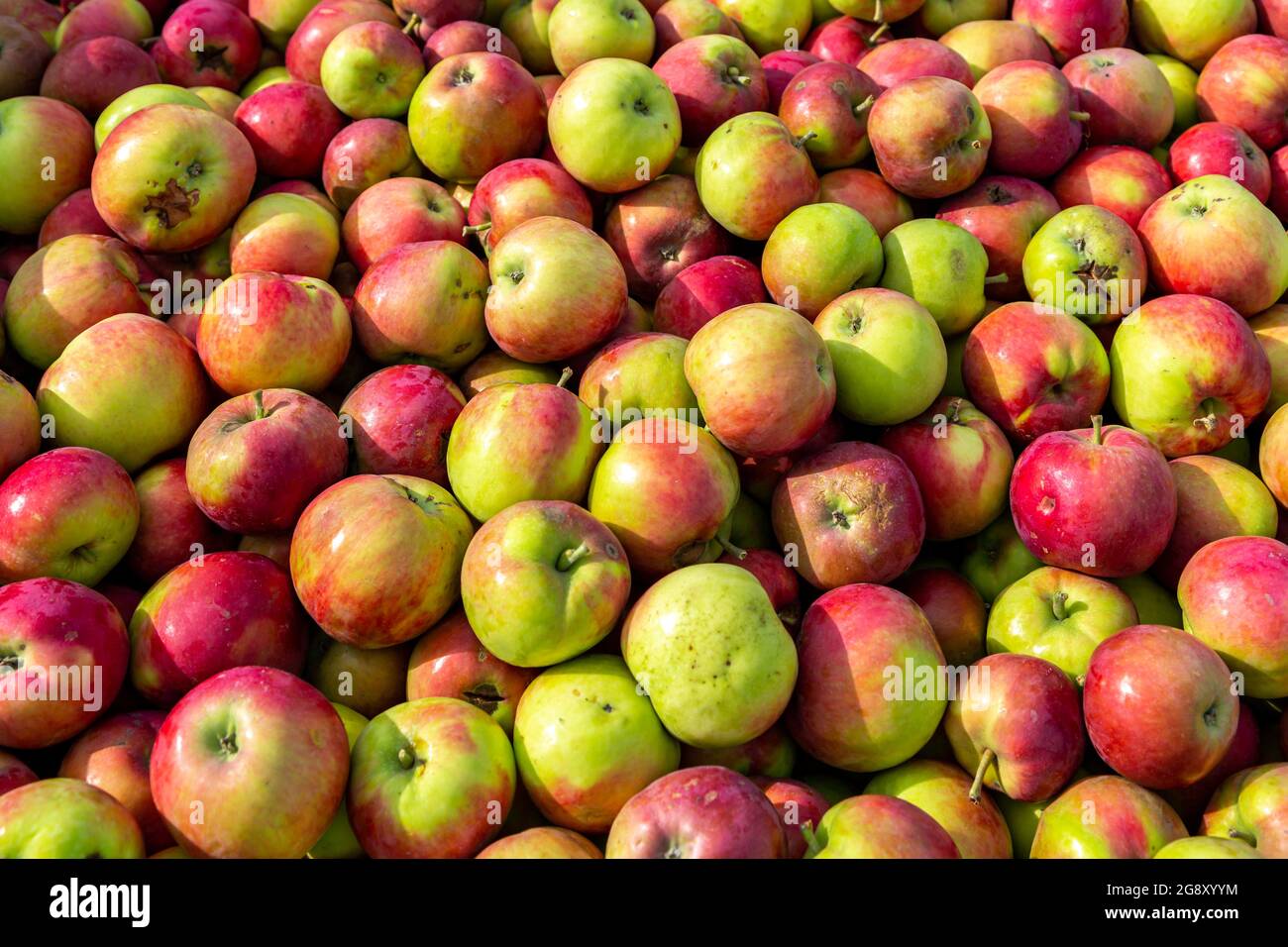 Inside apple texture hi-res stock photography and images - Alamy