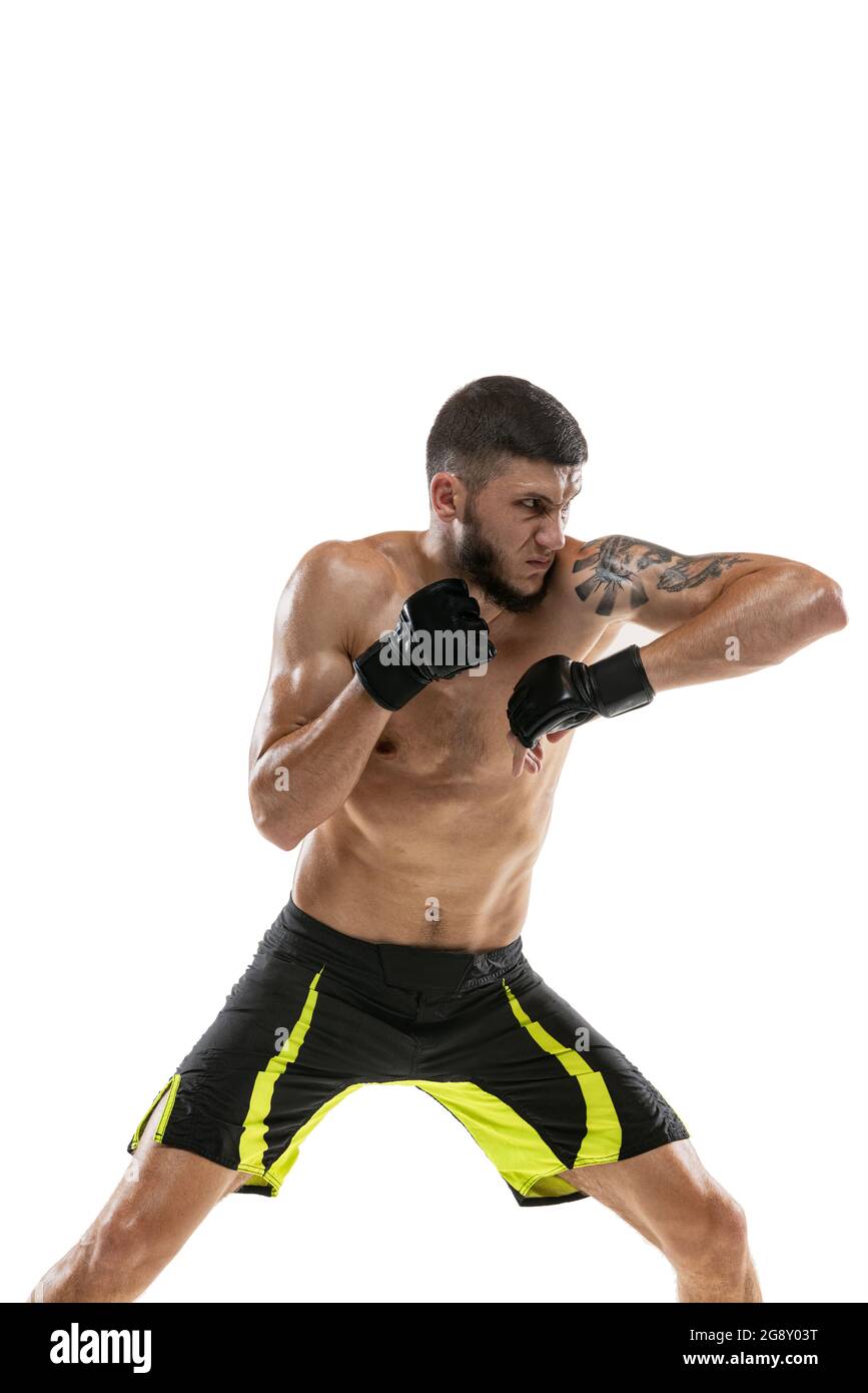 Portrait of professional male MMA boxer practicing isolated on white ...